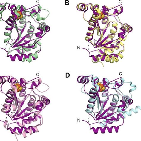 Workflow Of Structure Based Drug Design Sbdd Download Scientific Diagram