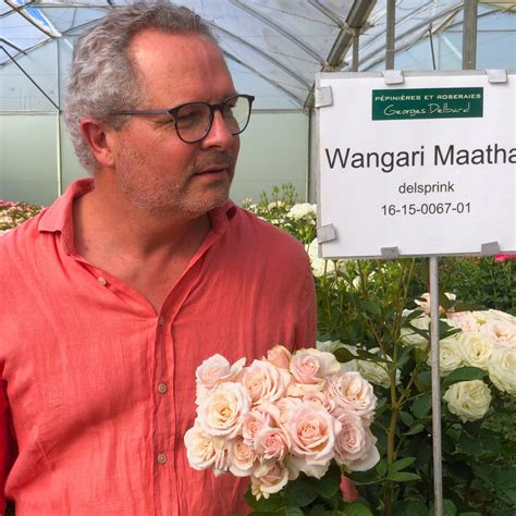 Rose Wangari Maathai Honors Kenyas Environmental Champion