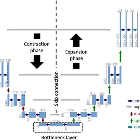 Schematic Representation Of Base U Net Model Download Scientific Diagram