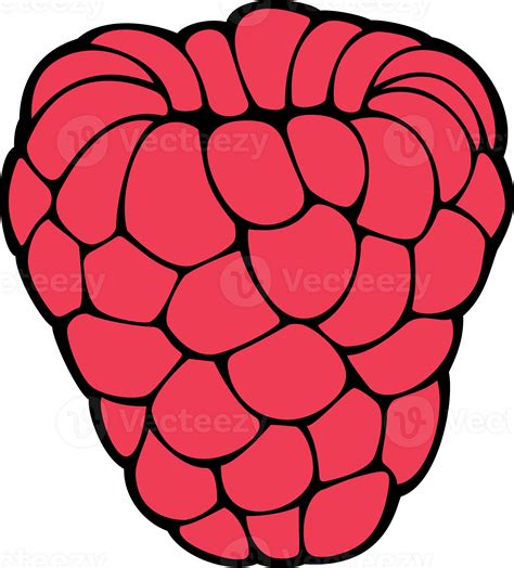 Raspberry Fruit Png Illustration 32332191 Png