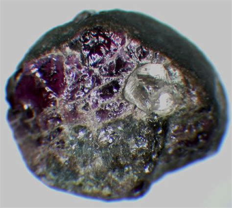 Xenoliths Team Diamond