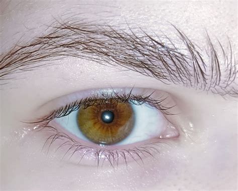 Пин на доске ♡my Type♡ Цвет глаз Темно зеленые глаза Глаза