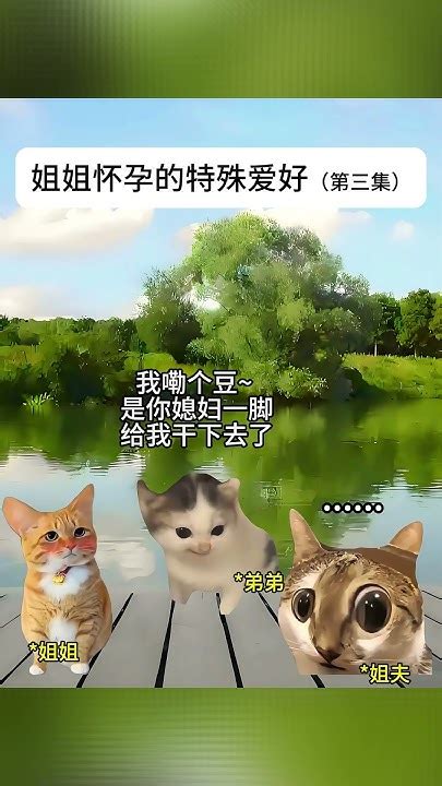 怀孕的姐姐受罪的我 猫meme 怀孕那些事 怀孕 姐弟 Youtube