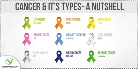 Cancer And Its 5 Different Types In A Nutshell Cancer