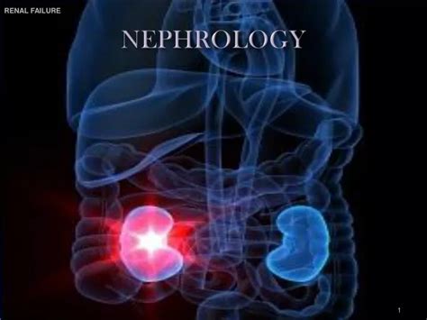 Ppt Nephrology Powerpoint Presentation Free Download Id2240647