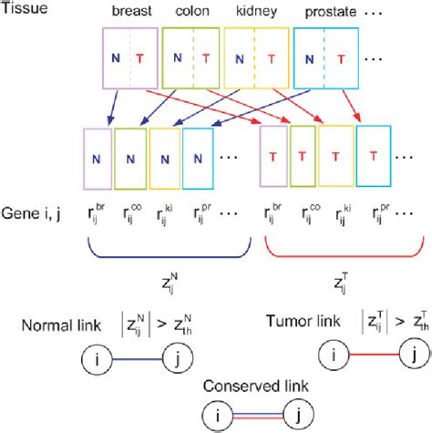 Figure 1 From Gene Expression Differential Coexpression Analysis Using