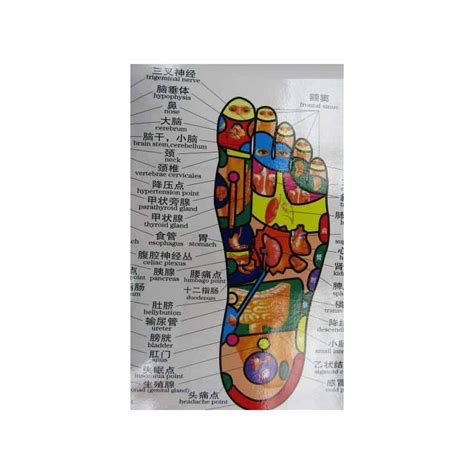 Foot Meridians And Acu Points Chart