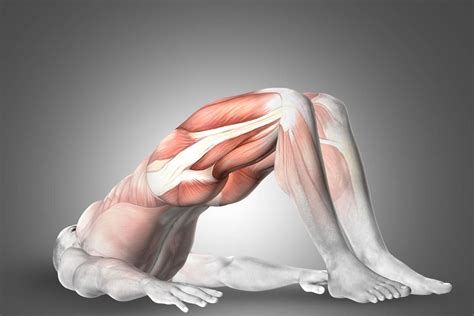 Among The Parts Of The Body Most Subject To Special Care And Attention There Are Certainly The