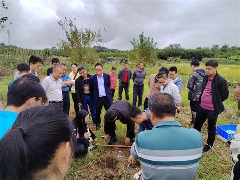 连州市举办第三次全国土壤普查启动暨外业采样调查技术培训会 连州门户网站 Cnbmzy