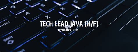 Tech Lead Java Hf Insitoo Lille Mission Freelance Dénicheur De