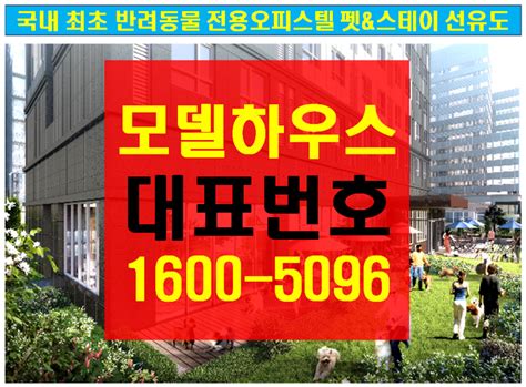 펫앤스테이 영등포구 선유도역 국내최초 반려동물 전용 오피스텔 회사보유분 특별분양 접수 네이버 블로그