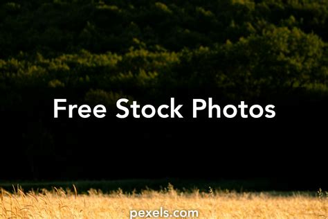 Timbits Cereal Photos Download The Best Free Timbits Cereal Stock