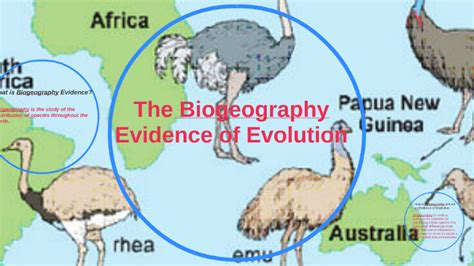 Biogeography Evolution