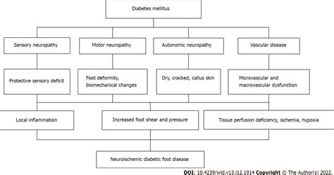 Diabetic Foot Ulcer Challenges And Future