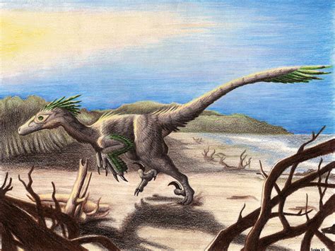 Deinonychus Datos Y Curiosidades Dinosaurios