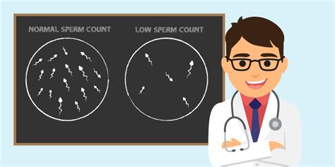 Low Sperm Count Reasons And Treatment Androlife