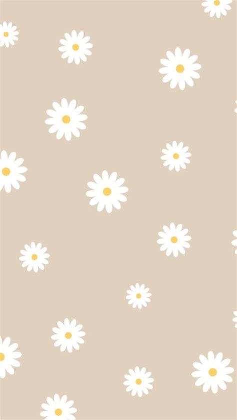 Pin By Caritoo⸆⸉ On Sonny Angels Sonny Angel Angel Cat Cute Icons