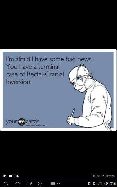 Rectal Cranial Inversion Funny Humor Laugh