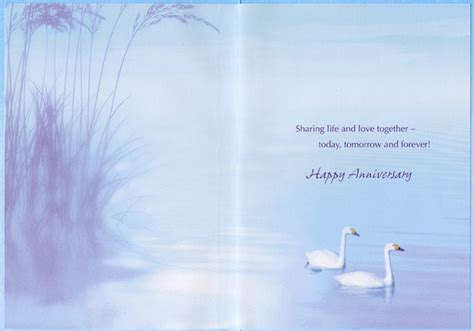 Two Swans On Blue Water Wedding Marriage Anniversary Congratulations