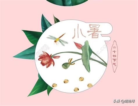 赞美夏天的优美古诗句6首绝美消暑诗词 我爱育娃