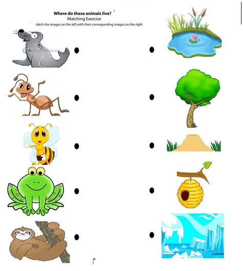 Free Printable Matching Animals To Their Home Worksheet 7 Animal
