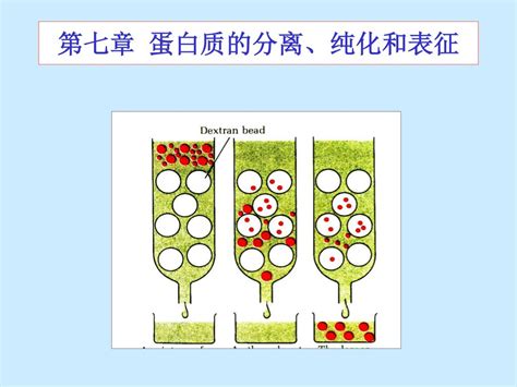 Ppt Powerpoint Presentation Id