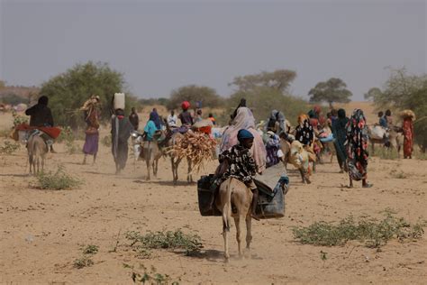 More Than 700000 Sudanese Flee Homes Amid Violence Iom Says Reuters