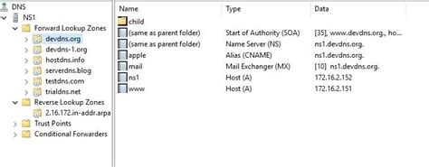 Primary Secondary Dns Configured But Only Primary Able To Resolve