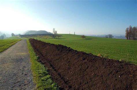 Windrow Composting Process Types Benefits Agri Farming