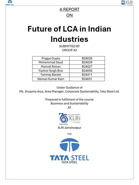Future Of Lca Report A3 Pdf Life Cycle Assessment Steelmaking