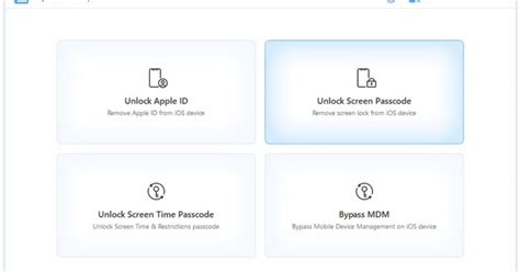 4 Ways To Reset Locked IPad Without Password Software Tested
