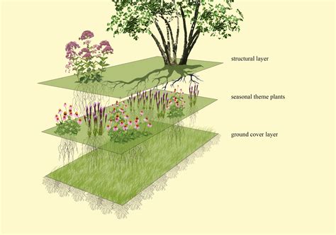 Define Shrub Layer At Alana Toomey Blog