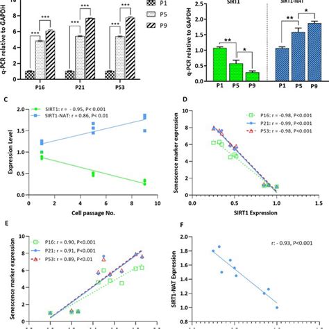 Osteogenic Differentiation Potentials Of Mscs Is Enhanced Following