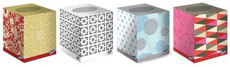 Tissue Box Design Exploration Arena Design