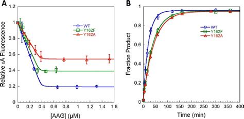 Figure 1 From Critical Role Of Dna Intercalation In Enzyme Catalyzed