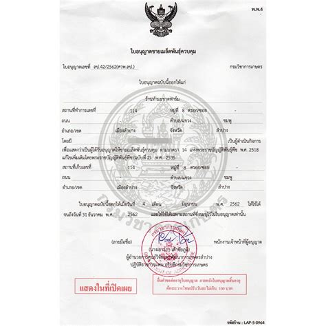 เมล็ดข้าวฟ่างคุณภาพสูงทำมะชาดฟาร์ม มีคู่มือ 10แถม1 ️500 2000เมล็ดซอง เมล็ดพันธุ์ ผักสลัด กรีน