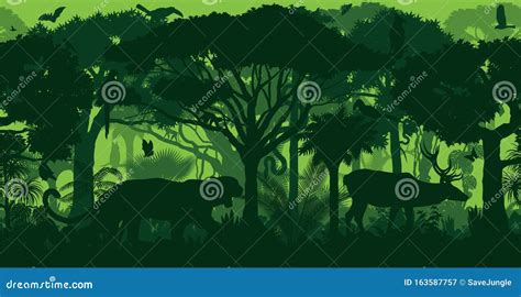 Vector Horizontal Amazonian Brazil Seamless Tropical Rainforest Jungle