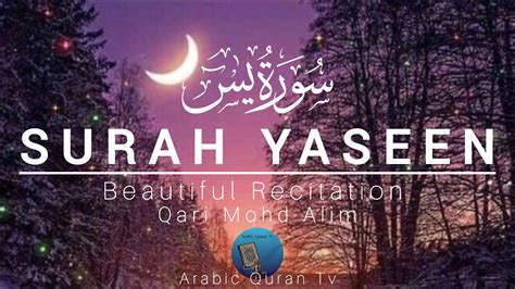 Smooth Carefully Voice Quran recitation of Surah Yasin Yaseen سورۃ یس