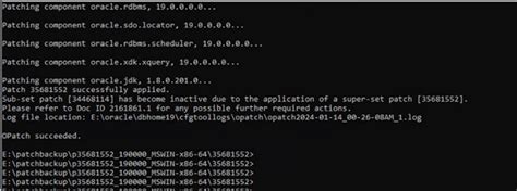 steps for patching in standalone database oracle 19c in windows platform smarttechways