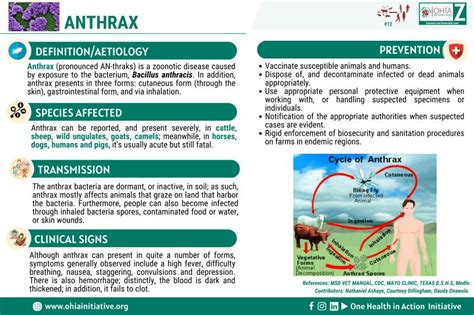 One Health In Action Initiative On Linkedin Zcard Anthrax