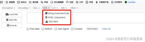Web 渗透测试神器：hackbar 保姆级教程前端krving Gitcode 开源社区
