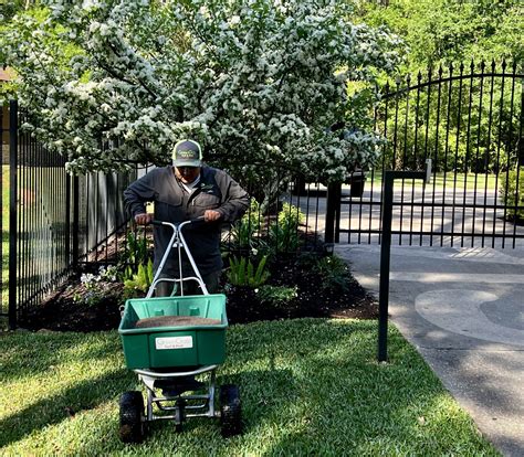 Understanding And Preventing Take All Root Rot