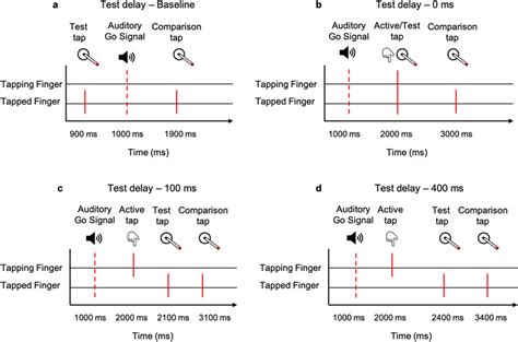 Temporal Outline Of Test Delays In Experiments 1 And 2 Participants