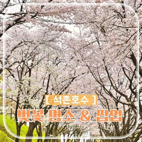 서울 벚꽃 축제 잠실 석촌호수 최고심 롯데 팝콘 팝업 정보들 네이버 블로그