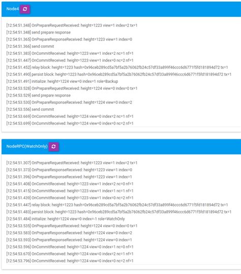 Watch Only Consensus Nodes Neo Tutorial