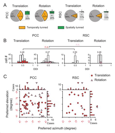 Visual Self Motion Signals Optic Flow In The Posterior Cingulate