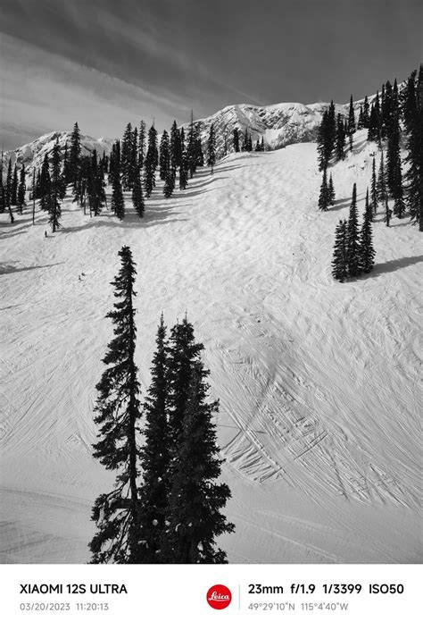 Img20230320112013 A Wee Flickr