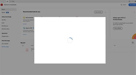 on launch of adobe reader the blank white window adobe community