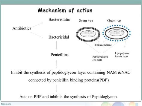 Medicinal Chemistry Beta Lactam Antibiotics