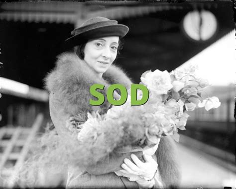 Sod What Does Sod Mean